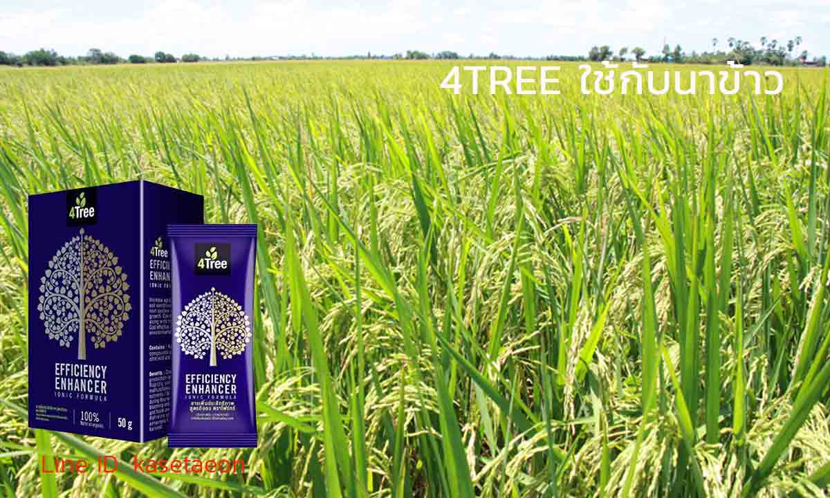 4Tree โฟร์ทรี -เกษตรอิออน สารเสริม นวัตกรรมล่าสุดจากอิสราเอล