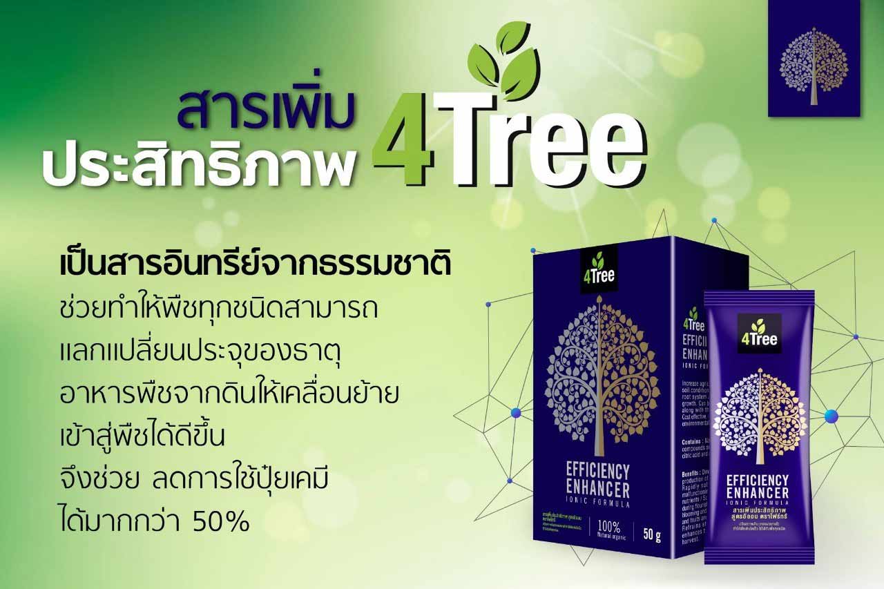 4tree คืออะไร โฟร์ทรี นวัตกรรมจากอิสราเอล พืชโตเร็วแข็งแรง ทนแล้งลดปุ๋ย